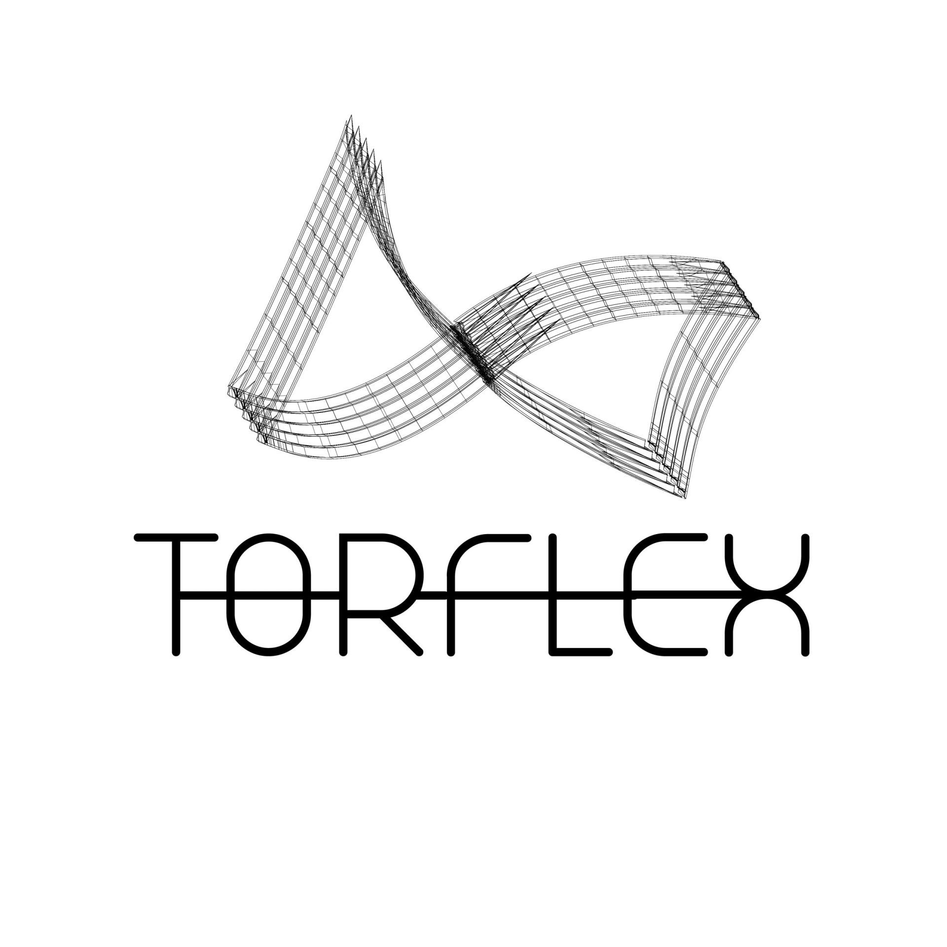 Proyecto gráfico · Logo Tor Flex • ARTEUPARTE